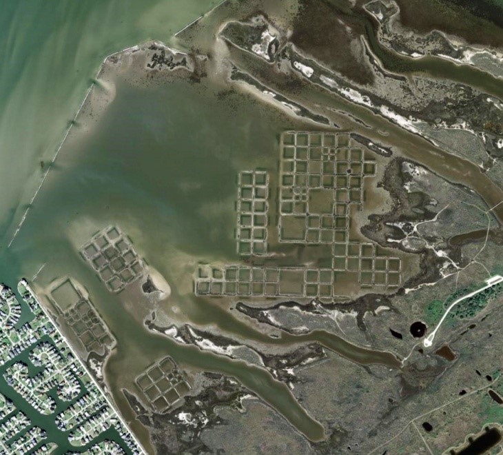 State of the Bay